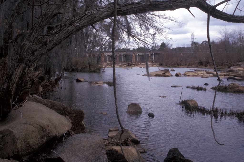 Congaree River Blueway - The River Alliance